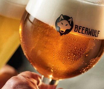 Beer For Beginners | Beerwulf – Beerwulf - EU store